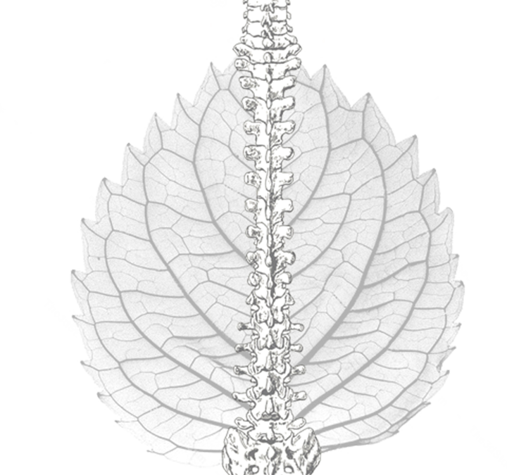 falmouth osteopathy | Natural Health Coach falmouth osteopathy | Natural Health Coach